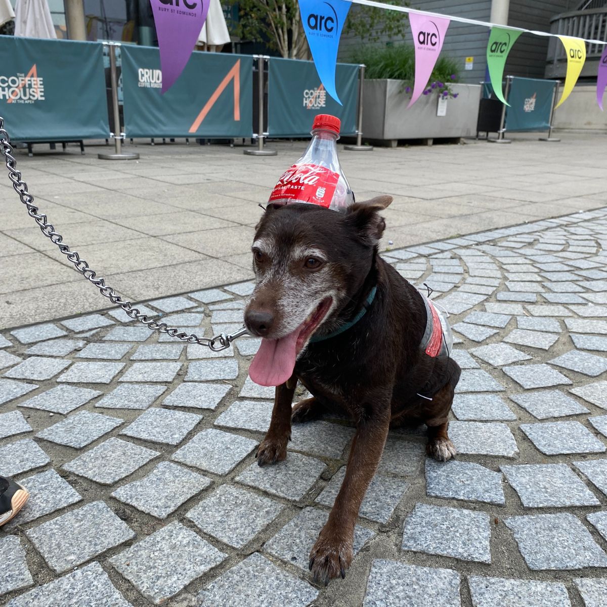 arc Summer Show - arc Shopping Centre